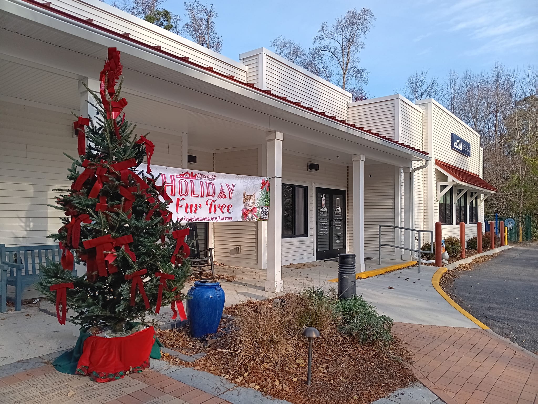 Furry Friends Feature: Join in Trimming the Community’s Holiday FUR ...
