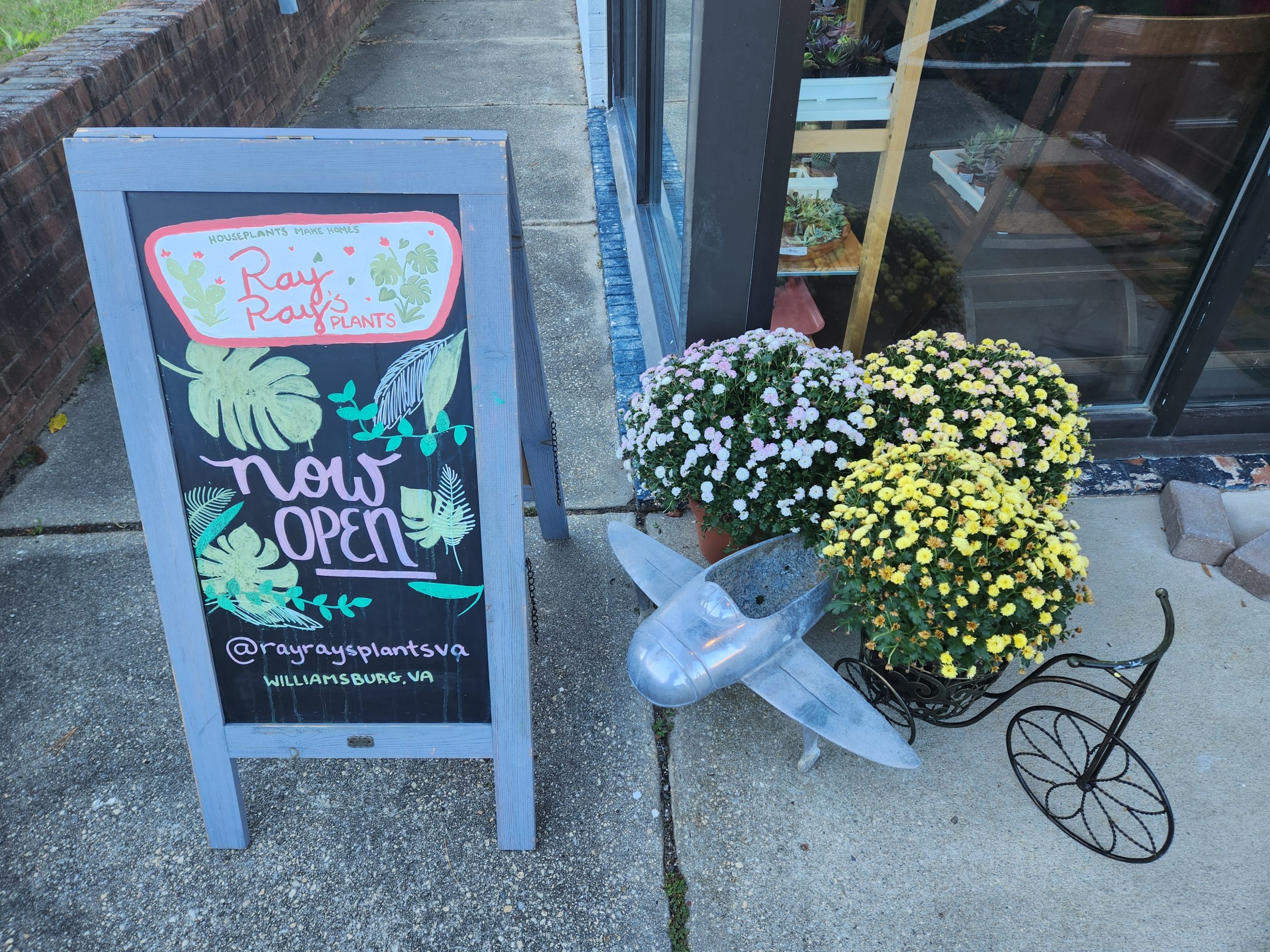 Ray Ray’s Plants: Making Spaces Into Homes with Houseplants ...