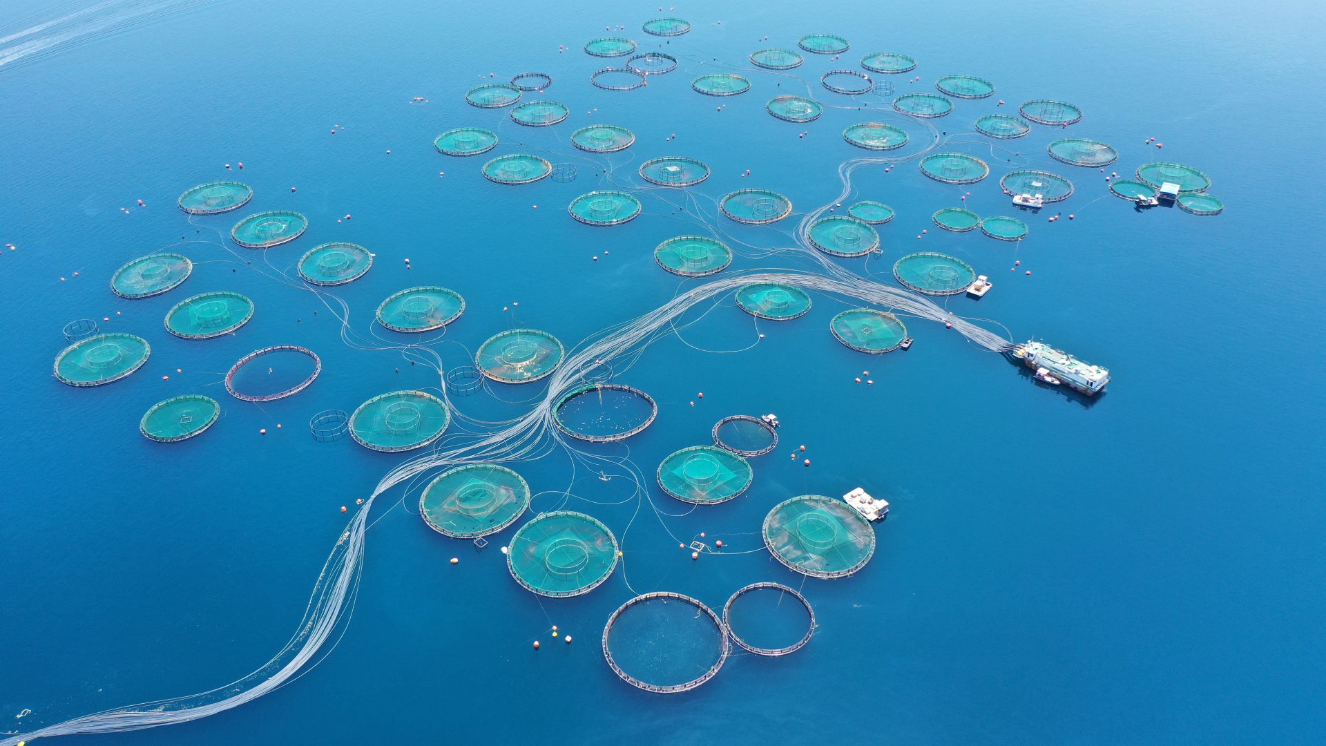 Federal Bill Looks to Expand Responsible, Large-Scale Fish Farming in ...