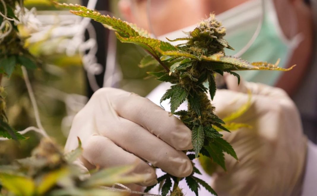 Another year, another Va. retail cannabis market veto leaves businesses ...